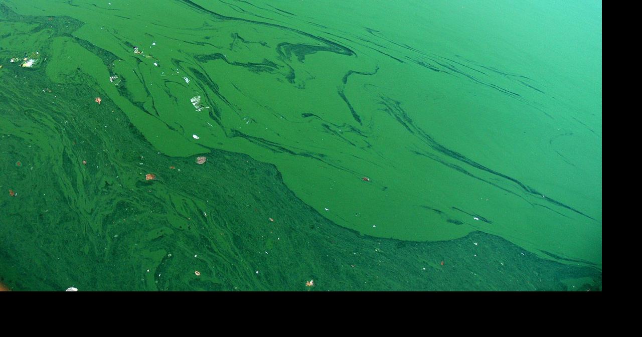 Grant County health officials lift alert for toxic blue-green algae in ...