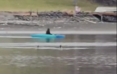 DUI fugitive steals kayak to escape police on Moses Lake | Columbia ...