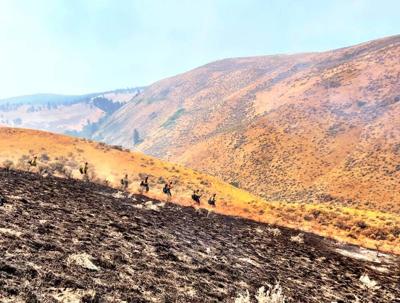 Colockum Fire 90 percent contained as crews begin to demobilize on ...