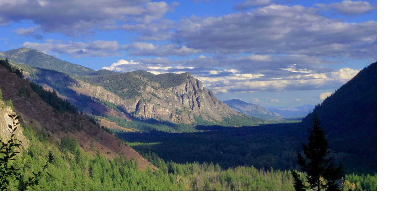 WDFW Commission approves forest restoration project in Methow Wildlife ...