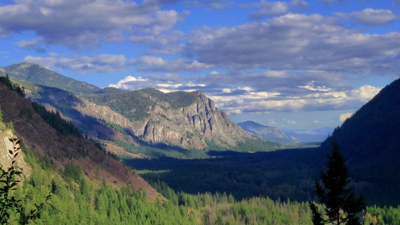 WDFW Commission approves forest restoration project in Methow Wildlife ...