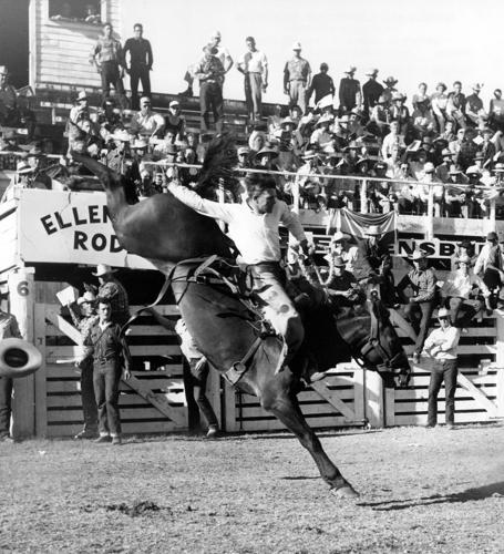 Thieves steal coveted sculpture of American rodeo legend and Wilbur ...