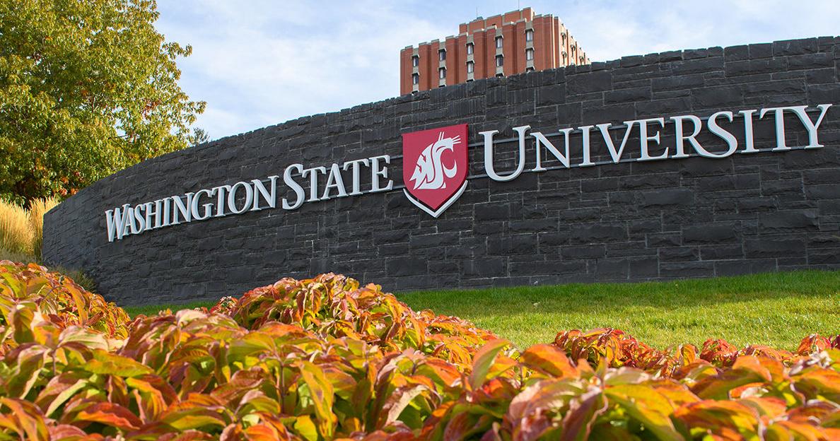 Family of teen who died at WSU fraternity files lawsuit | Columbia ...