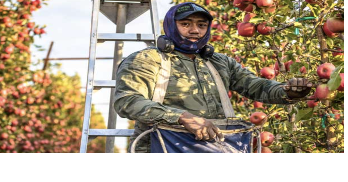 New Federal Policy Slashes Wages for WA Farmworkers | Columbia Basin ...