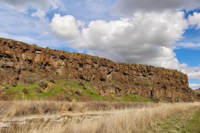 WDFW Seeks Farm Lease Bids Near Mattawa | Columbia Basin ...