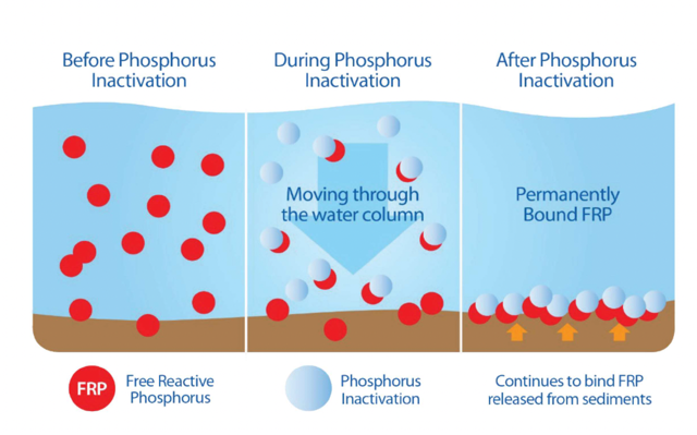 Goodbye Algae Blooms? Moses Lake Phosphorus Mitigation Project Now ...