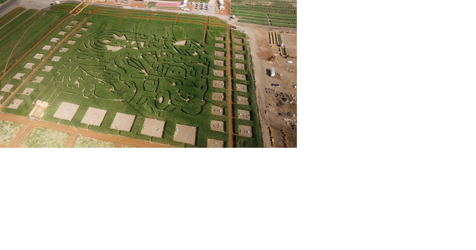Pixar’s Cars-Themed Corn Maze to Open at Middleton Farms | Columbia ...