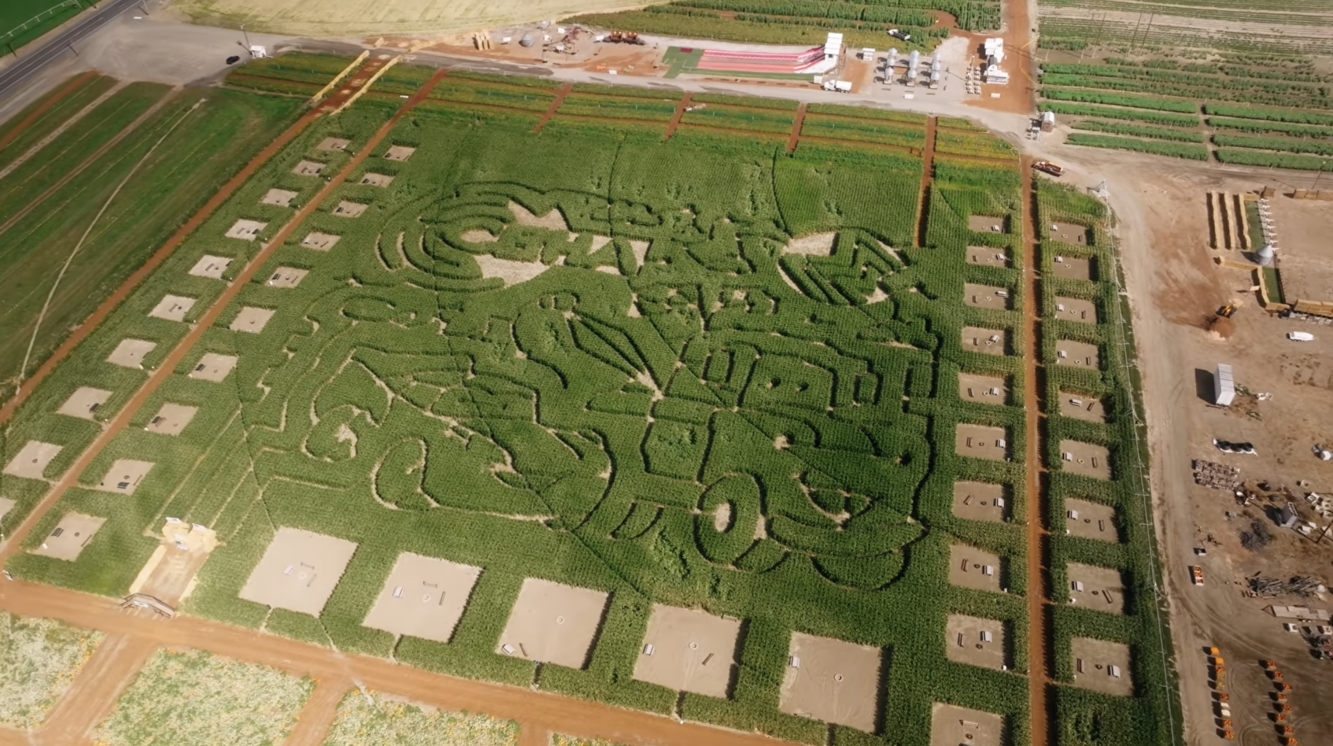 Pixar’s Cars-Themed Corn Maze to Open at Middleton Farms | Columbia ...