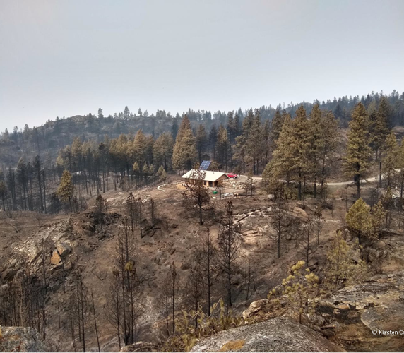 How this home defied all odds and survived the Cold Springs Canyon Fire ...
