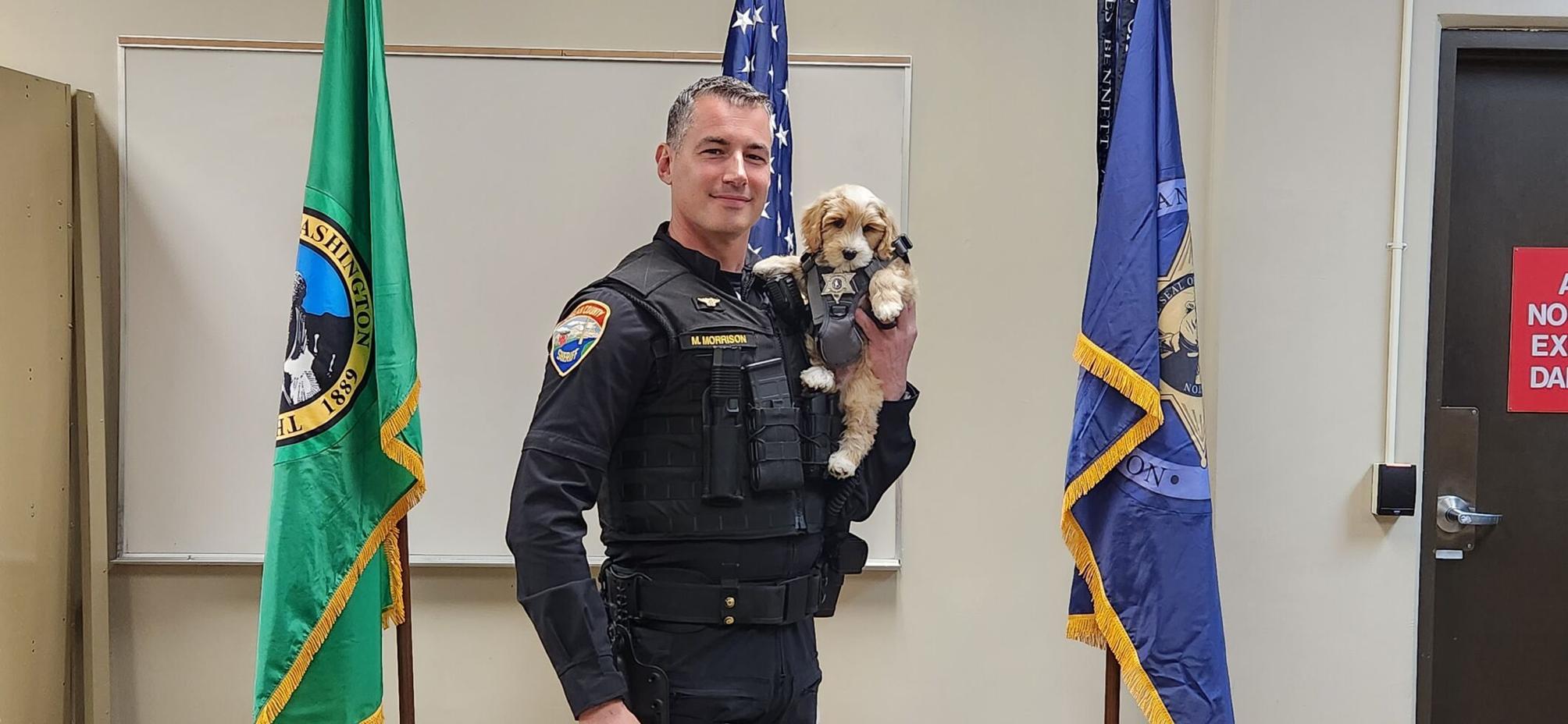 Chelan County Sheriff swears in donated puppy as organization's first ...