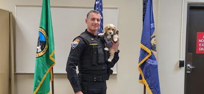 Chelan County Sheriff swears in donated puppy as organization's first ...