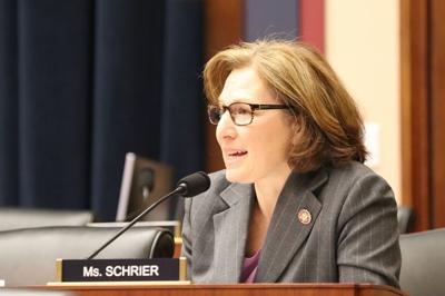 Democrat Kim Schrier advances to general election in WA 8th ...