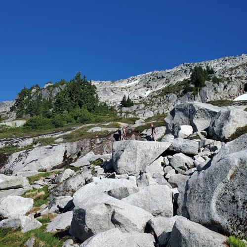 Missing Rachel: Quest to find Moses Lake woman who disappeared during ...