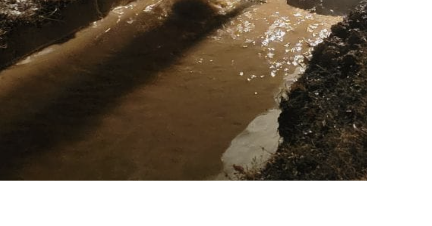 Bridgeport Has Major Water Leak, Losing Thousands of Gallons | Columbia ...