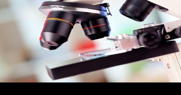 Columbia Ridge Elementary School hosts annual science fair on Friday ...