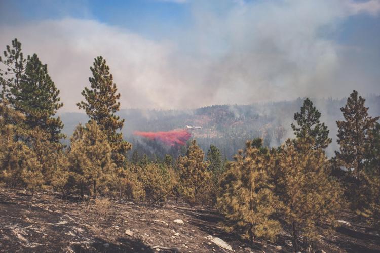 Whitmore Fire west of Nespelem 25% contained; listed at more than ...