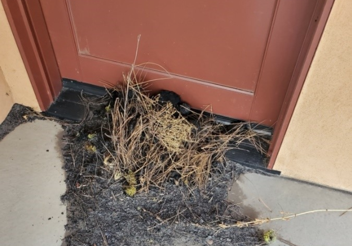 How this home defied all odds and survived the Cold Springs Canyon Fire ...