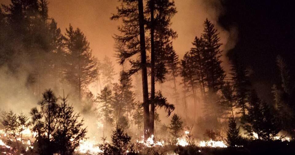 Lawsuit: US withholding wildfire fuel break information | iFIBER ONE ...