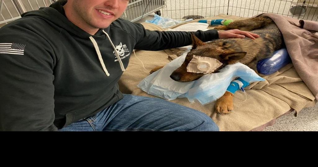 K9 Chief set to return to Moses Lake on Wednesday after successful ...