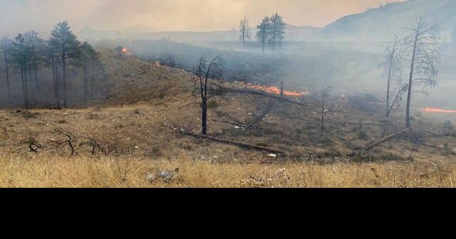 Evacuations lowered to Level 2 for Apple Acres Fire near Chelan ...