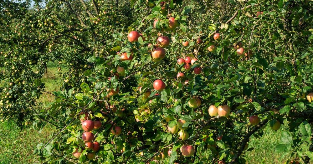 WVC wins big USDA grant for ag education | Columbia Basin ...