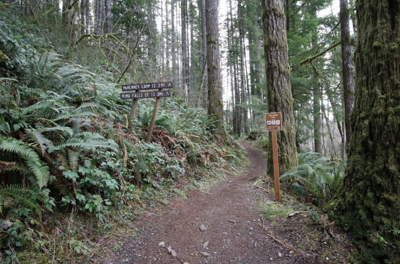 Great Gravel Pack-In returns to Capitol Forest for 14th year | News ...