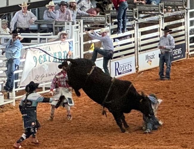 Mosaic Arena gets some upgrades | News | yoursun.com