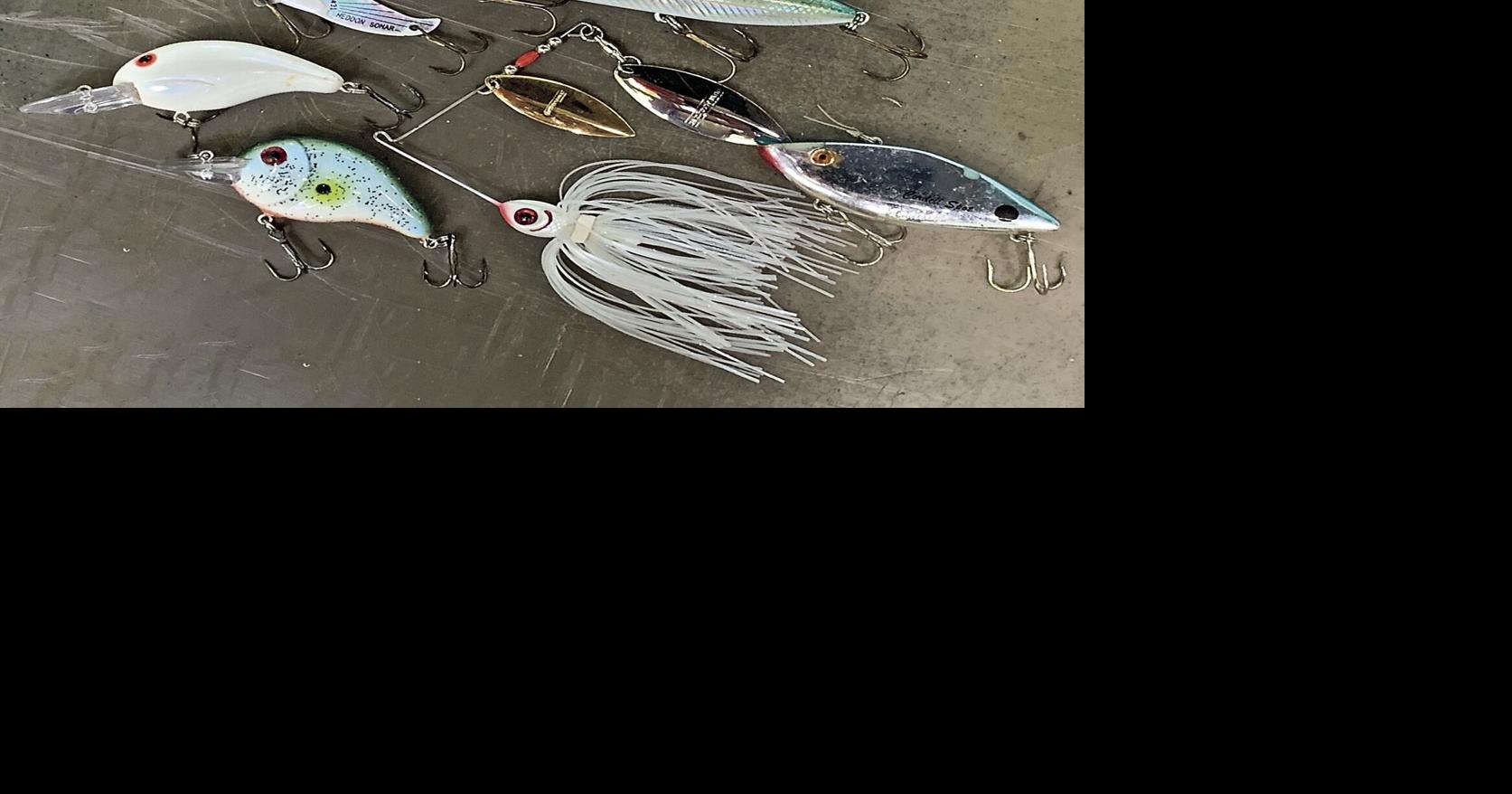 Fishing the shad spawn | Waterline | yoursun.com