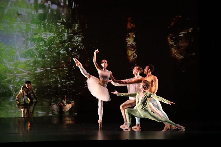 Lang joins Sarasota Ballet as artist in residence | News | yoursun.com