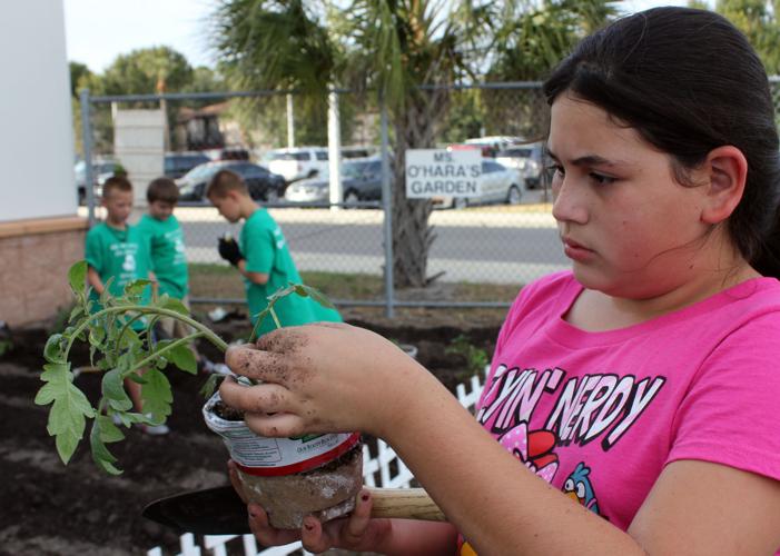 Peace River students cultivate green thumbs | News Archives | yoursun.com