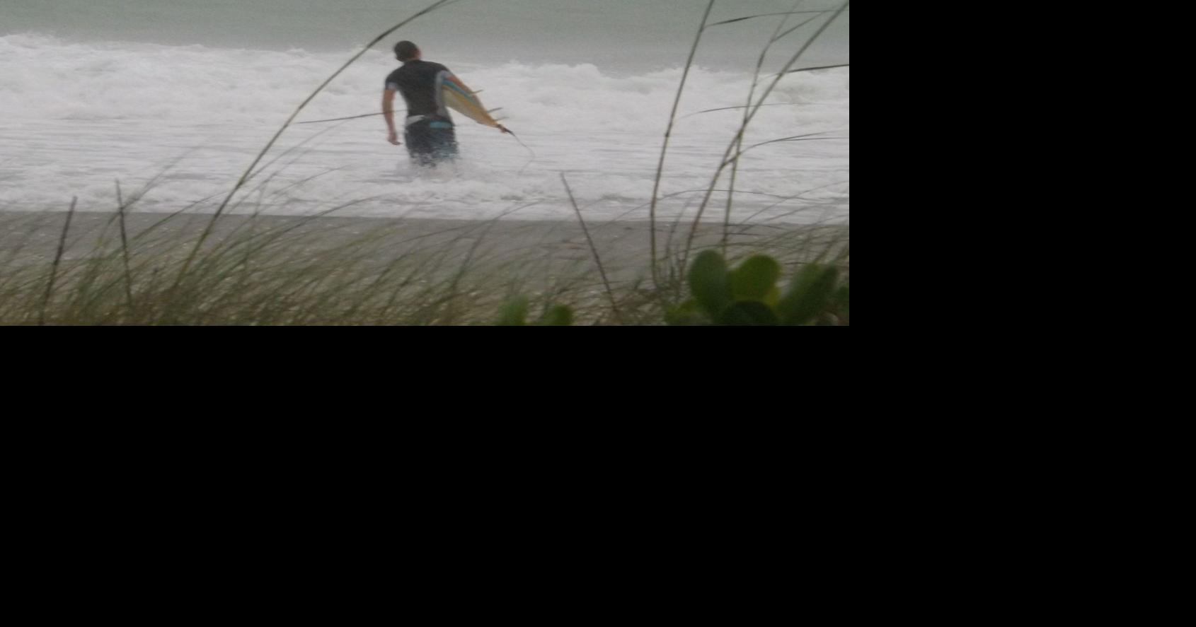 Andrea no friend to sea turtles | News Archives | yoursun.com