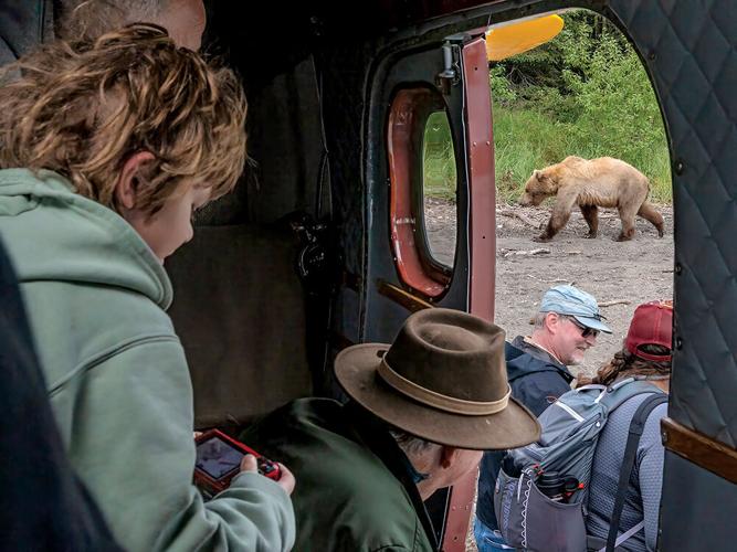 The bears of Brooks Falls | Waterline | yoursun.com
