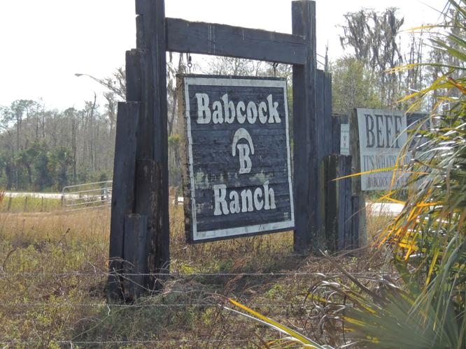 Babcock Ranch Preserve home to cattle, eco-tours, farming | News ...