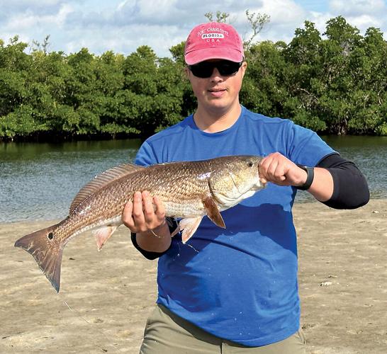 Reader photos | Waterline | yoursun.com