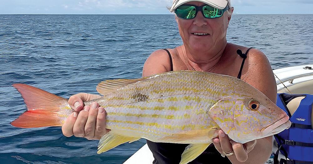 Tighten up on lane snapper | Waterline | yoursun.com