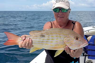 Tighten up on lane snapper | Waterline | yoursun.com