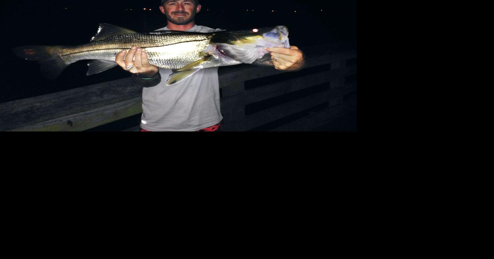 Swimming for snook | Waterline | yoursun.com