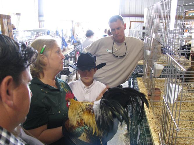 Sights at the county fair | News Archives | yoursun.com