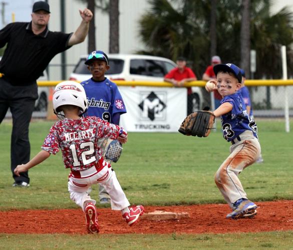 Sebring T-ball rules Florida | Newsarchives | yoursun.com