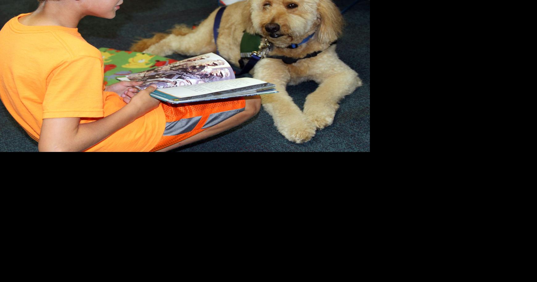 Kids read, dogs listenat Elsie Quirk Library | News Archives | yoursun.com