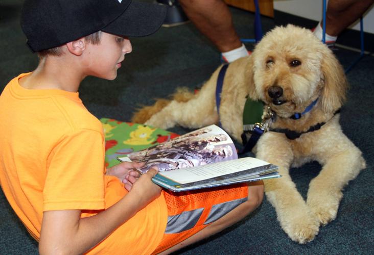 Kids read, dogs listenat Elsie Quirk Library | News Archives | yoursun.com