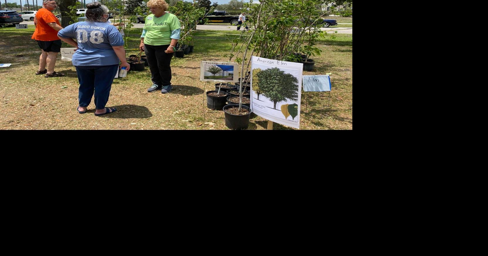 Learn about native trees at the annual Tree Fair | Go! | yoursun.com