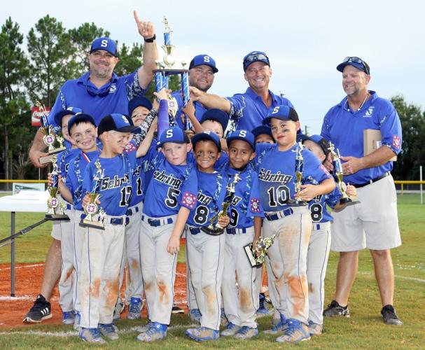 Sebring T-ball rules Florida | Newsarchives | yoursun.com