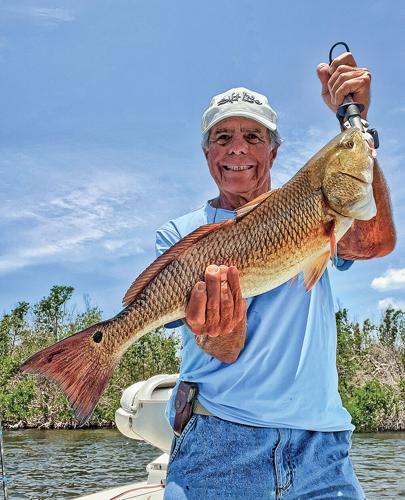 Reader photos | Waterline | yoursun.com