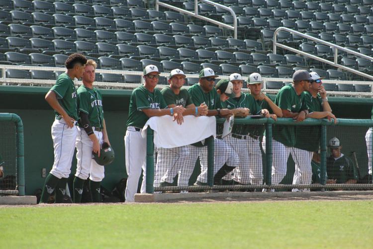 Shambora and Sinibaldi return to Venice baseball | Area Preps | yoursun.com