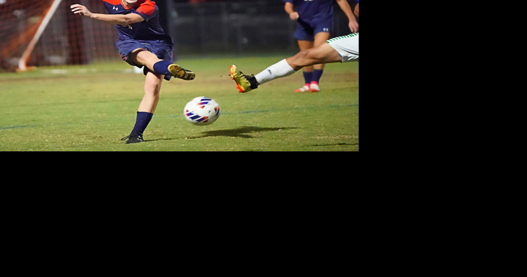 BOYS SOCCER: Bonita Springs ends Lemon Bay's Cinderella run | Sun Preps ...