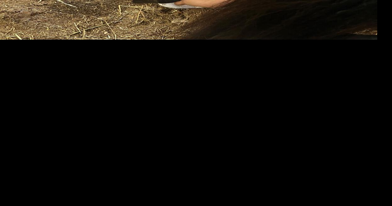 Vet students offer bit of help at Bit of Hope ranch | Port Charlotte ...