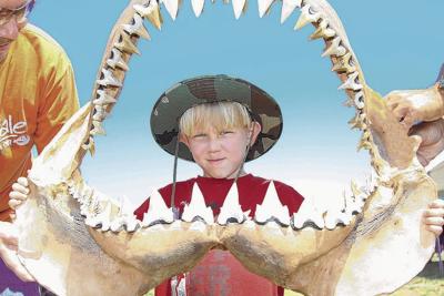 Untitled Story | Go! | yoursun.com