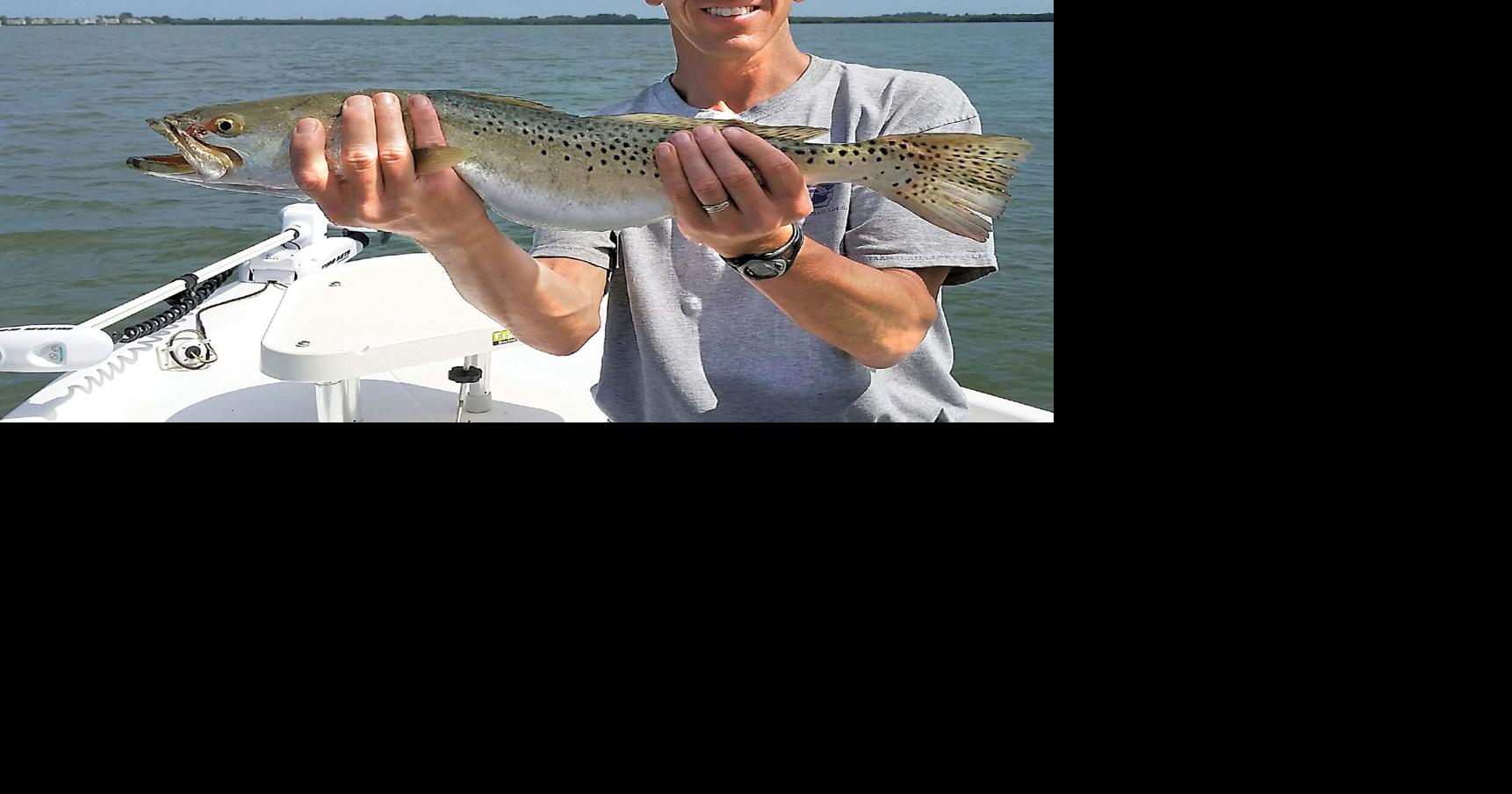 How to catch a Florida trout | Waterline | yoursun.com