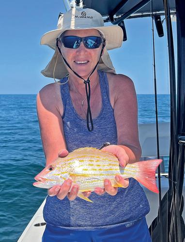 Reader photos | Waterline | yoursun.com